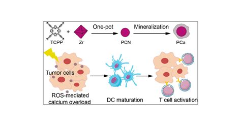 Mineralized Porphyrin Metalorganic Framework For Improved Tumor
