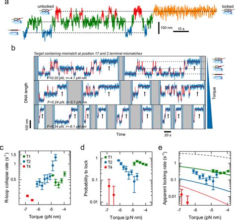 Investigating The Target Recognition Process A Characteristic Time Download Scientific Diagram