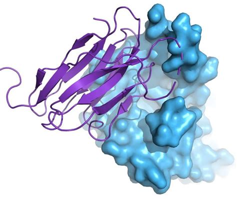 Protein Production Platform Kmd Bioscience Provides Professional