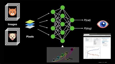 Built Datascience Machine Learning Deep Learning Projects By Usamashakeel287 Fiverr