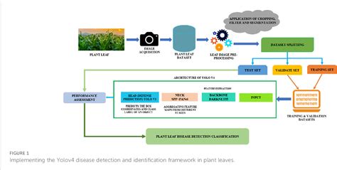 Figure 1 From Detection And Identification Of Plant Leaf Diseases Using Yolov4 Semantic Scholar