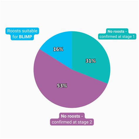 What Will Your Bat Survey Find — Bat Survey Scotland