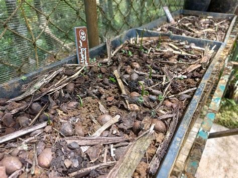 atishay ramdonee on linkedin biodiversity conservation ecology