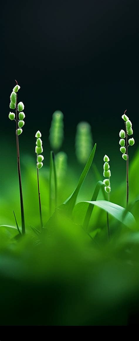 Dark Green Grass Background Images Hd Pictures And Wallpaper For Free