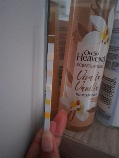 Yolov8 Test 4 Object Detection Dataset And Pre Trained Model By Convert