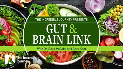 Unlocking The Brain Gut Connection How Food Shapes Your Mind Inspiring Facts