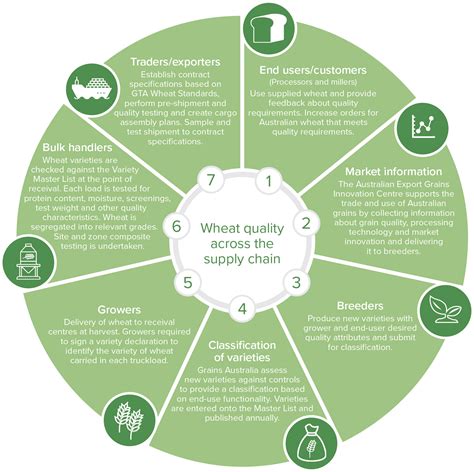 Wheat Grains Australia
