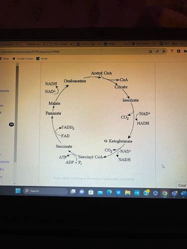 Chapter 7 Flashcards Quizlet Chapter 7 Flashcards Quizlet