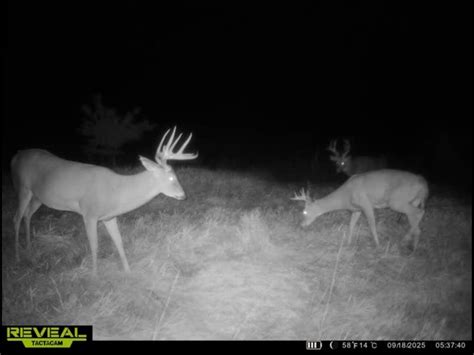 Smith County Farm And Hunt 78 Acres In Smith County Kansas Smith