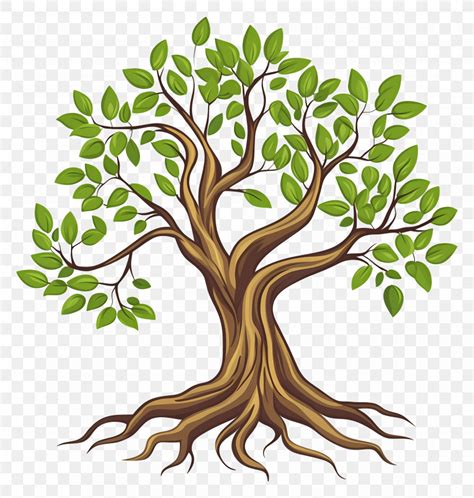Tree With Roots Cartoon Tree With Visible Roots And Branches Png