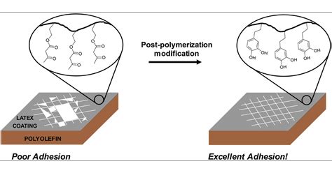 Catechol Functionalized Latex Polymers Display Improved Adhesion To Low