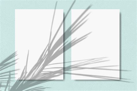 파란색 테이블 배경에 질감이 있는 흰 종이 2장 식물 그림자의 오버레이로 모형을 만드십시오 자연광은 Tui 가지에서 그림자를 드리 웁니다 0명에 대한 스톡 벡터 아트 및