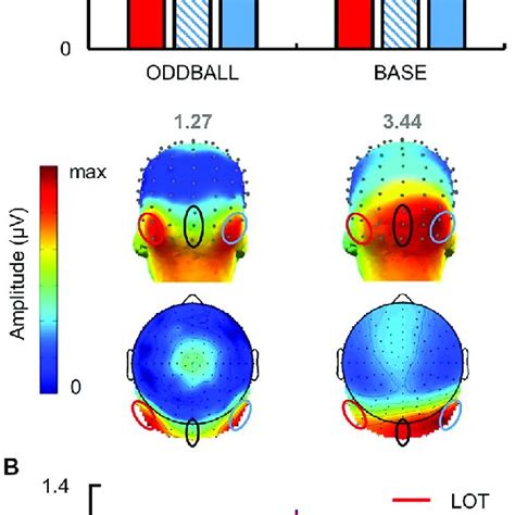Quantification And Scalp Topography Of Eeg Responses In Experiment 1