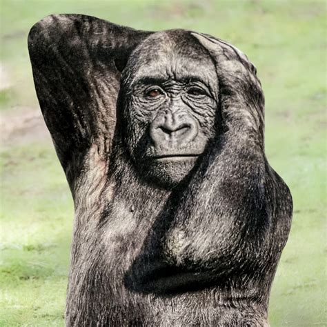 새끼 고릴라 인형