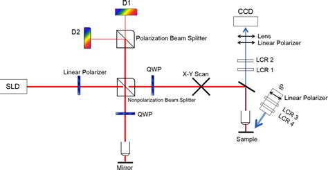 Use Of Combined Polarization Sensitive Optical Coherence Tomography And