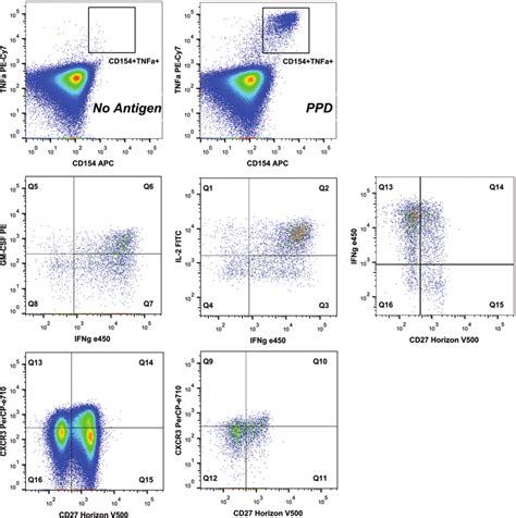 Flow Cytometric Gating Strategy Representative Flow Cytometric Plots Download Scientific