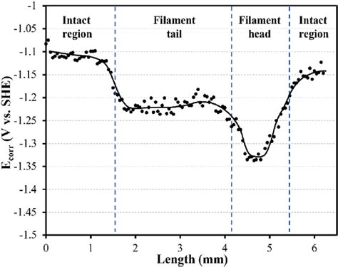 Plot Of E Corr Values Versus Distance Measured For A Propagating Download Scientific Diagram