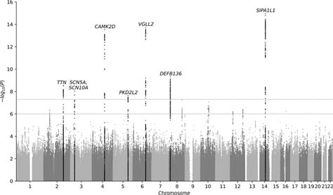 Manhattan Plot Association Tests N 34 432 Were Adjusted For Age Download Scientific Diagram