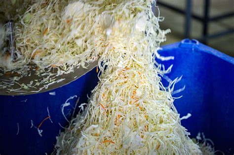 식품의 산업 생산 소금에 절인 양배추 또는 발효 양배추의 생산 자동 Cob 제거 야채 슬라이스 커터 회전 드럼 믹서 0명에 대한