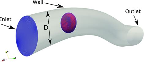The Computational Setup For The Fluid Structure Interaction Simulation Download Scientific