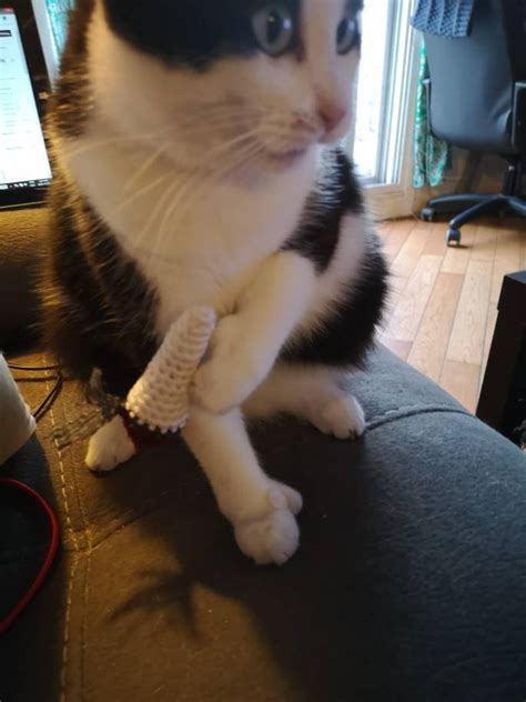 Blunt Cat Toy Joint Catnip Toys Weed 420 Doobie Cannabis Pot Etsy