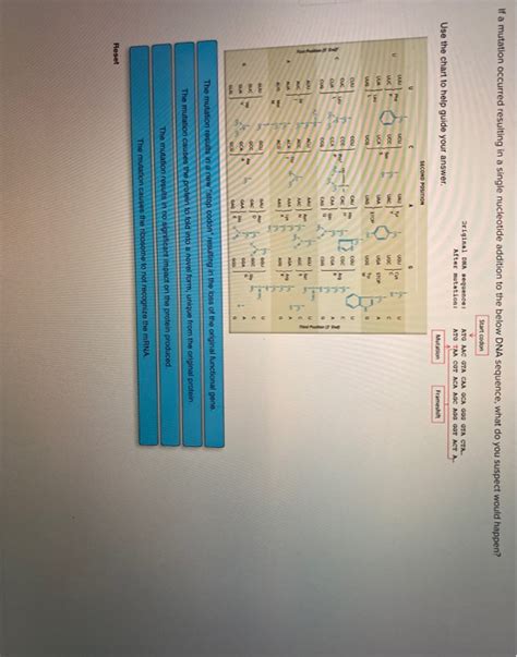 Solved If A Mutation Occurred Resulting In A Single