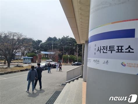 벚꽃 보고 왔어요…강릉 순두부 마을 인근 사전투표장 나들이객 가득 뉴스1