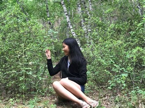 Монгол хэлний их тайлбар толь