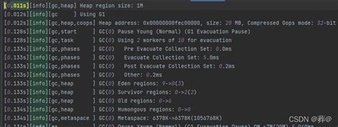 Jdk11 Gc日志输出 Xloggc Csdn博客