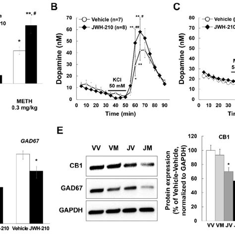 Effects Of Jwh 210 On Meth Induced Cpp Kcl Induced Dopamine Release