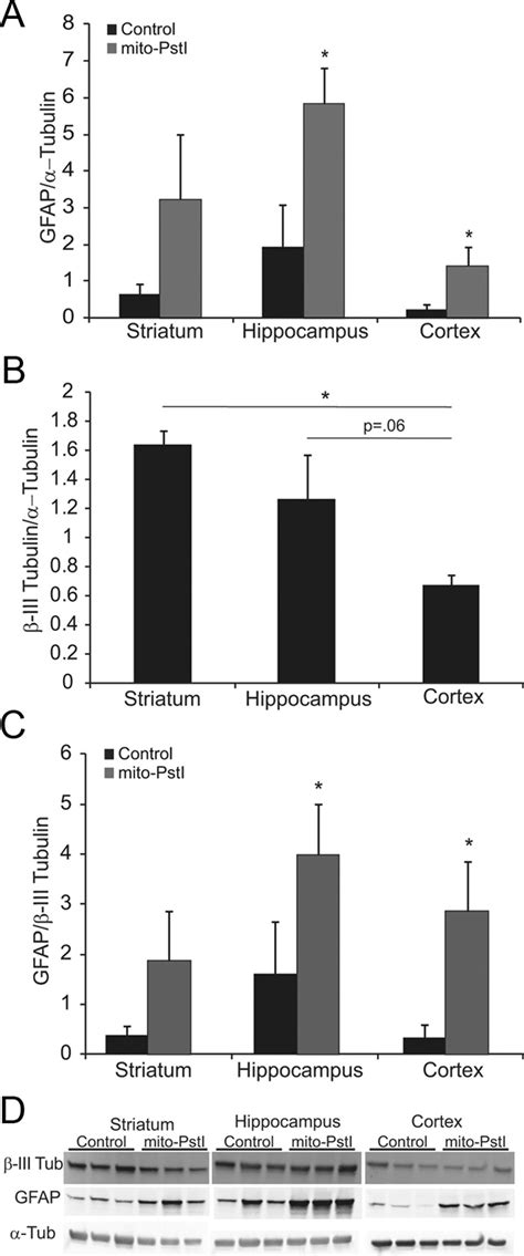 Striatum Is Enriched In Neuronal Derived Cells A Ratio Of The Optical Download Scientific