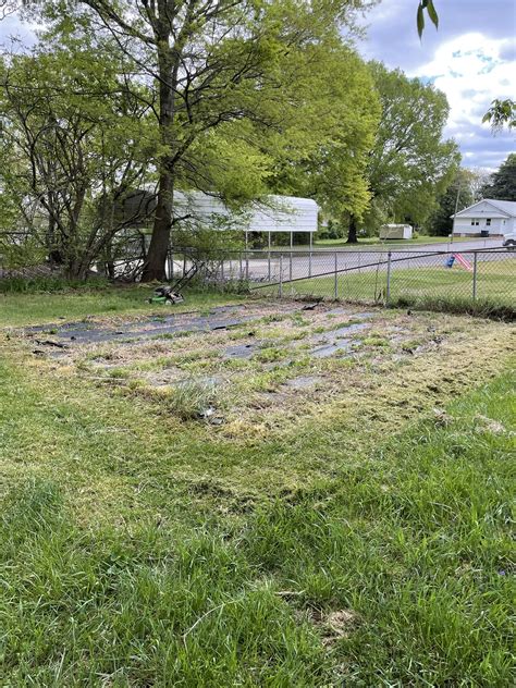 Busy Busy Day In The Garden Album On Imgur