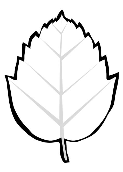 Dibujo Para Colorear Hoja De árbol