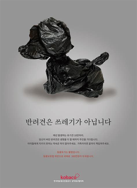 유기견 공익광고 Behance