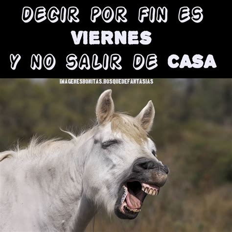 Mejores Fotos Graciosas