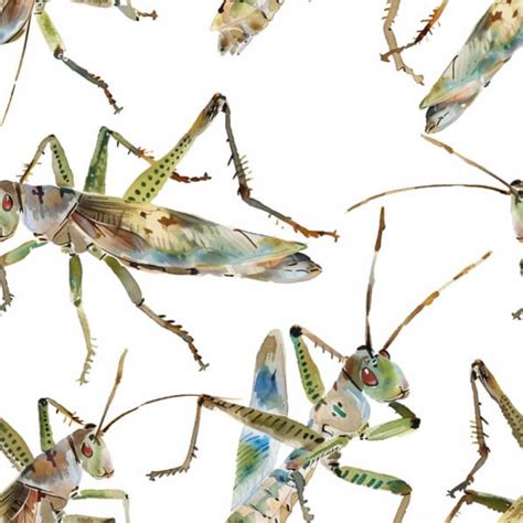 Download Colorful Grasshopper Pattern In Watercolor Art Patterns Online