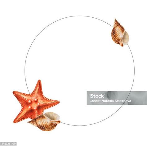 조개 껍질이 있는 수채화 프레임입니다 흰색 고립된 배경에 수중 생물 물체를 손으로 칠하는 클립아트 디자이너 장식 엽서 포장지 스크랩북 표지 초대장 웨딩 디자인 포스터 및