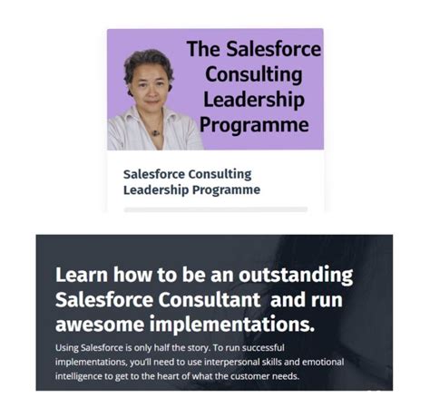 My Experience With Pei Mun Lims Consulting Course Darius Tracy Posted On The Topic Linkedin