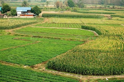 anand mishra on linkedin green india cleen india if you have 2 4 acres…