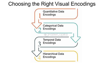 Visual Encoding With Images Data Map Visual Visual Coding Neuropixels