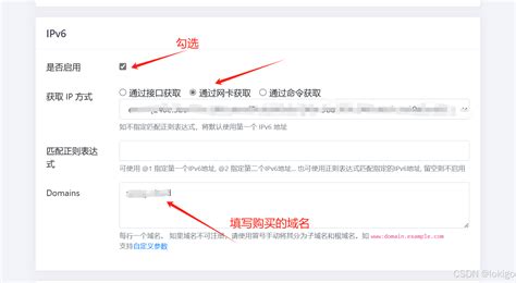 内网服务器ipv6地址动态解析映射到域名ipv6动态域名解析 Csdn博客