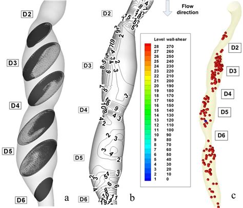 Disturbed Flow Indicators And Computational Particle Deposition Download Scientific Diagram