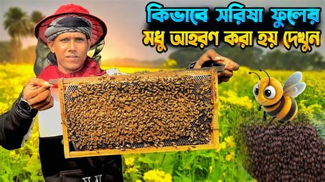 সরাসরি মৌমাছির খামার থেকে মধু সংগ্রহ করা দেখুন Manik Miah Official Youtube
