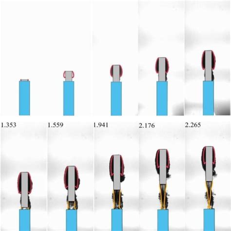 One To One Comparison Between Experimental Results And Numerical Download Scientific Diagram