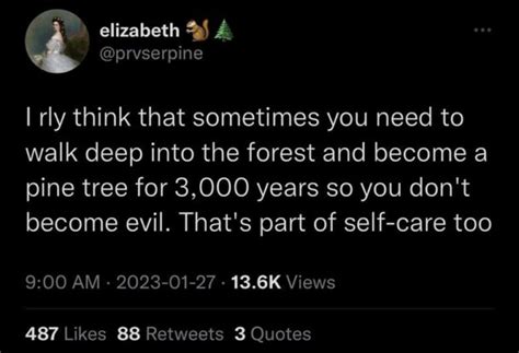 40 Funny Nature Memes For Campers Hikers And All You Other Outdoorsies