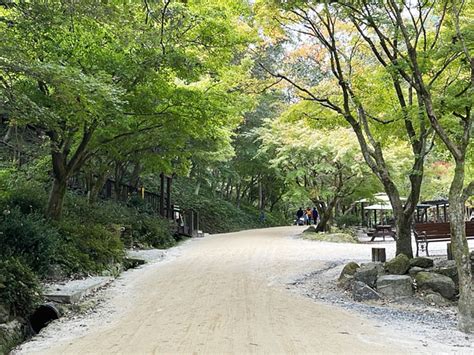 순창 강천산 군립공원 맨발걷기 단풍명소