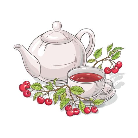 체리 차 벡터 일러스트 레이 션 과일 삽화 주스 배경 일러스트 및 사진 무료 다운로드 Pngtree