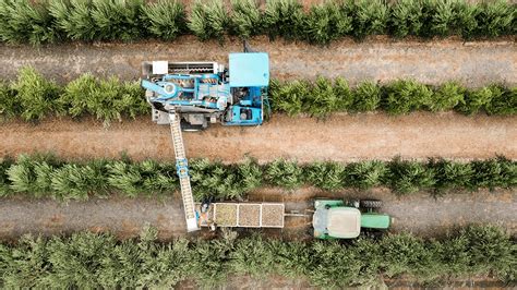 Home Imperial California Olive Mill Llc