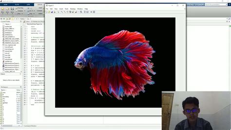 Proses Segmentasi Suatu Citra Menggunakan Matlab Youtube