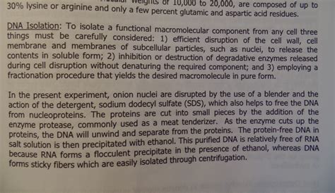 Solved Experiment 5 Isolation And Characterization Of Dna